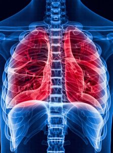 Catalogue - ARTE Europe Phase 6